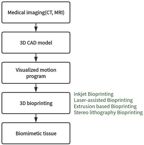 Schematic Of 3d Bioprinting Workflow And Different 3d Bioprinting