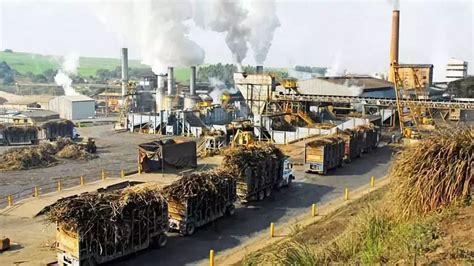 Sugarcane Crushing । माळशिरस तालुक्यात २१ लाख टन ऊस गाळप । Sugarcane