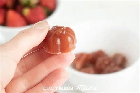 Homemade Healthy Fruit Snacks