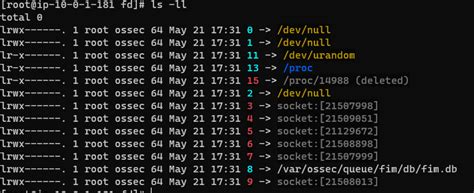 rootcheck hangs indefinitely on readdir · issue 9032 · wazuh wazuh