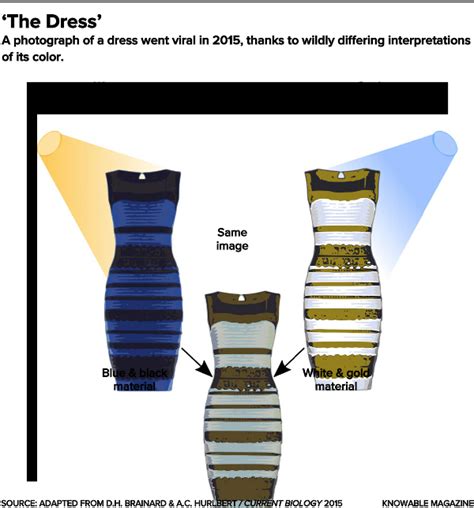 the science of color perception