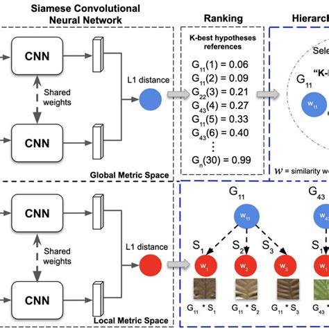 Overview Of The Proposed Method For Fine Grained Classification Of