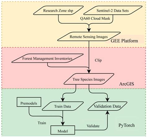 Sustainability Free Full Text Deep Learning In Forest Tree Species Classification Using