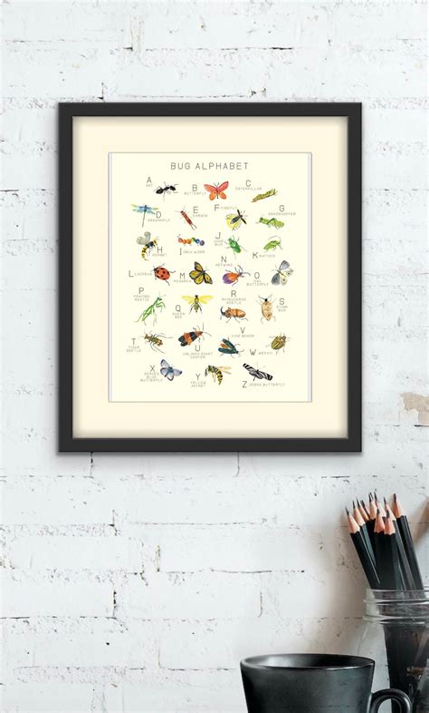 Bug Poster Bug Print Bug Lover Insect Print Montessori Learning Etsy