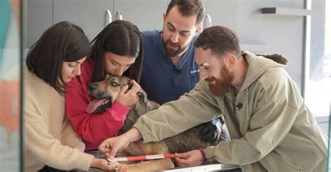 Hayat Tamircisi Kimdir Hangi Kanalda Ne Zaman Nerede çekiliyor