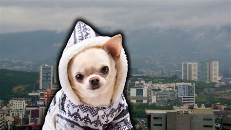 Clima En Monterrey 05 De Diciembre Estas Son Las Temperaturas Que