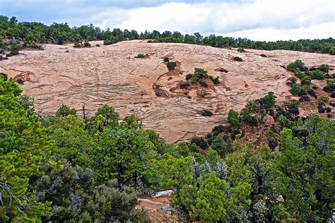 View Of Rock Dome Surface From Sandal Trail Across The Canyon In Navajo