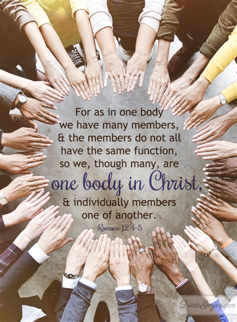 One Body In Christ Romans 12 4 5 Tricia Goyer Christ Quotes