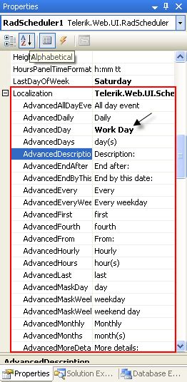 Telerik Web Forms Scheduler Accessibility And Internationalization