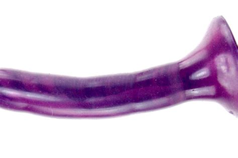 Eggsquisite Pleasure Discovering The Ovipositor Dildo And Useful Facts