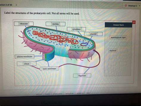 solved chee 18 of 30 if a buffer solution is 0 240 m in a