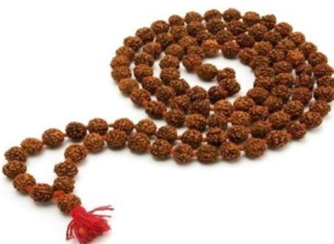 Know This Thing Before Wearing Rudraksha Know The Importance And