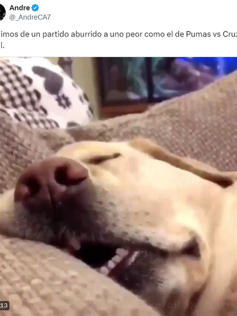 Usuarios En Redes Sociales Reaccionan Con Memes Al Empate Entre Pumas Vs Cruz Azul Infobae
