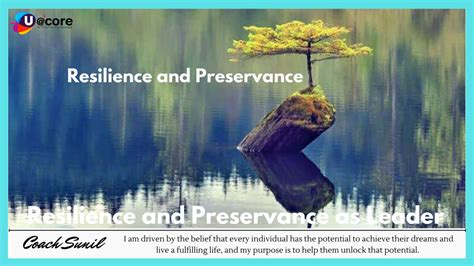 Demonstrating Resilience And Perseverance As A Leader