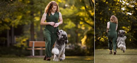 Oats The Standard Poodle — Jklein Photos