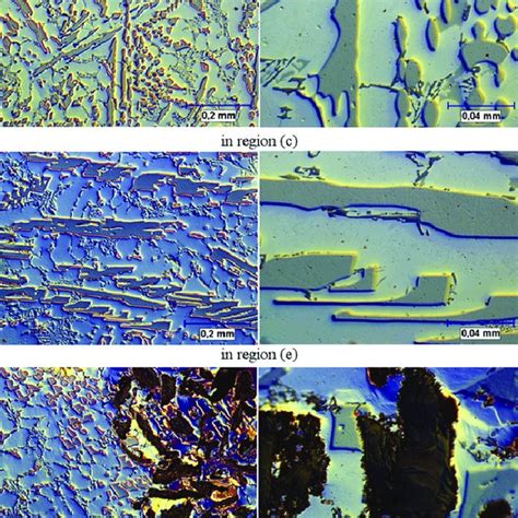 Microstructure Of Mmc A35657 Vol Ni Coated Graphite Particles Download Scientific Diagram