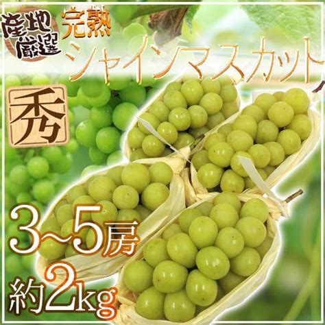 ”完熟シャインマスカット” 秀品 3〜5房 約2kg 産地厳選【予約 8月末以降】 送料無料 くらし快援隊 通販 Yahooショッピング
