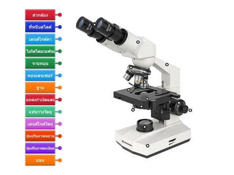 ส่วนประกอบของกล้องจุลทรรศน์ แผนภาพที่มีป้ายกำกับ