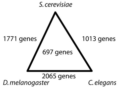 Sizes Of The Gene Expression Datasets Used We Based Our Analyses On