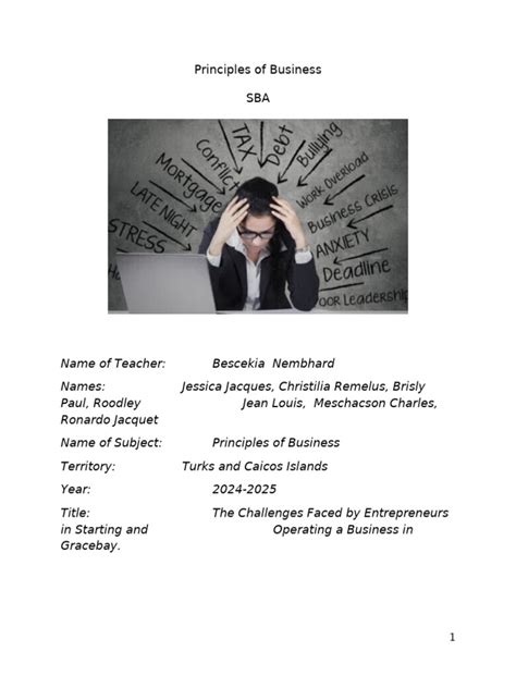 Principle Of Busines School Based Assesment 1 Ronardo Update Pdf