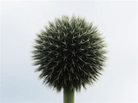 Ai Created In Dna Based Artificial Neural Networks Psychology Today Canada