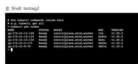 Launching Kubectlshell For The Cluster Doesnt Use A Private Registry