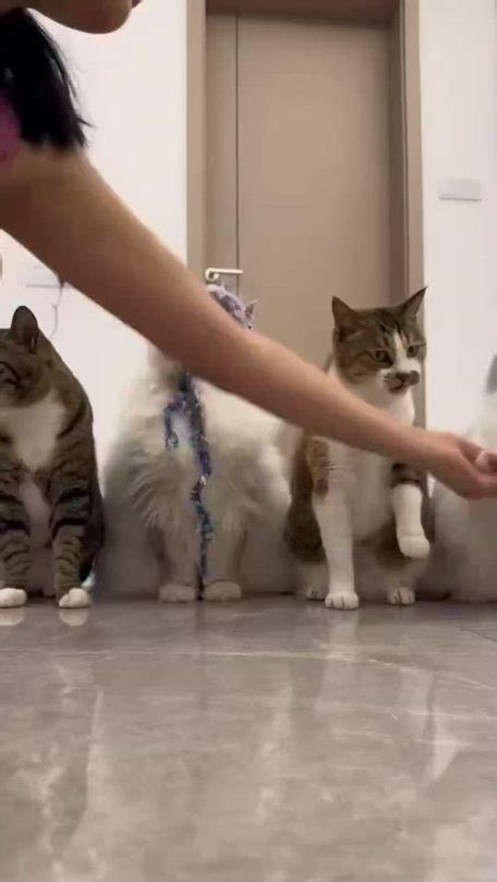 Hey Friend Your Turn Tumbex