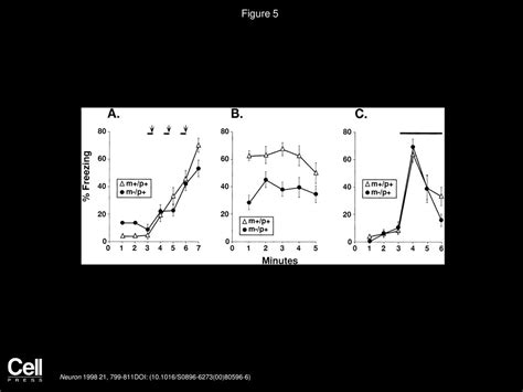 Volume 21 Issue 4 Pages October 1998 Ppt Download