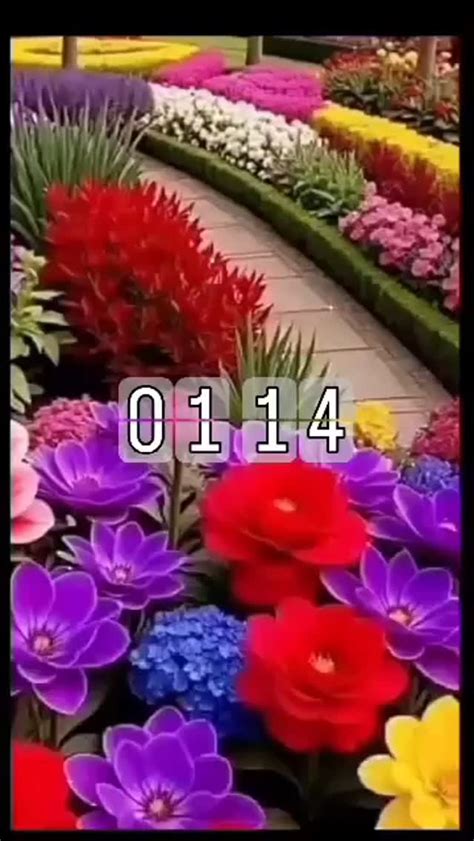 ‎علی مشهدی‎ ‎پروردگارا روزم را با نام تو آغاز می کنم نامت را همیشه بر