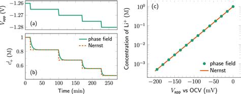 Initial Transient Of An Initially Homogeneous Electrolyte In Response