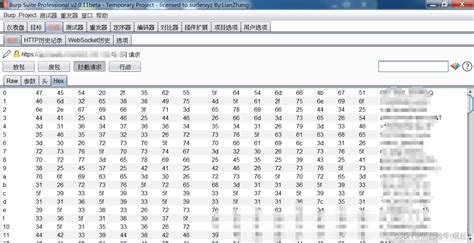 burpsuite【十二模块一次解决】【这都不看？】filter、target、scanner、proxy、intruder、repeater