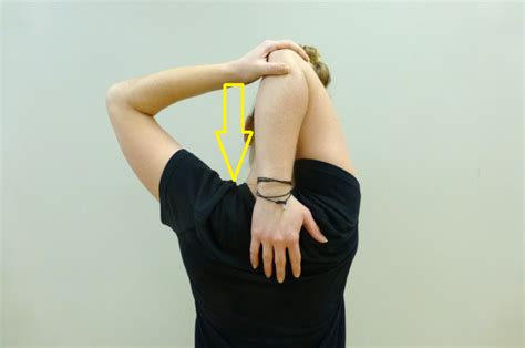 Shoulders Stretching Exercises And Posture Work Fit