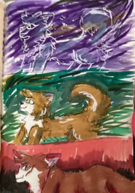 Starclan Thunderclan Dark Forest Warrior Cats