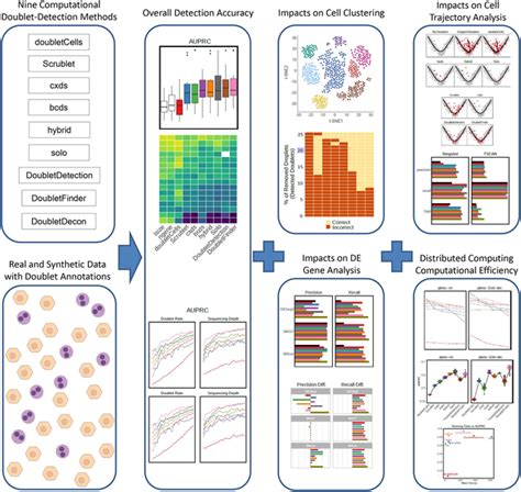 Benchmarking Computational Doublet Detection Methods For Single Cell Rna Sequencing Data Pmc