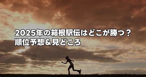 「もうひとつの箱根駅伝 2025」いつ放送？見逃し配信や再放送についても網羅