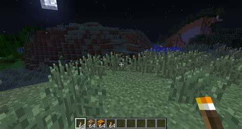 Dynamic Lights Mod Minecraft Mods
