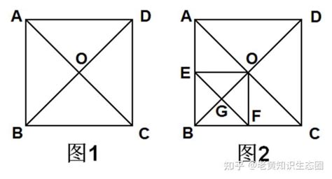 旋转线段的中点轨迹问题，2022年山东滨州中考数学选择压轴题 知乎