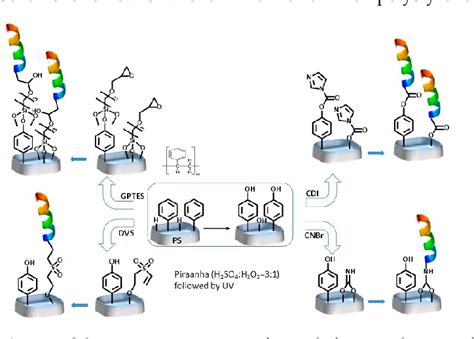 Figure 1 From Surface Functionalization Strategies Of Polystyrene For