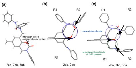 Polydentate No Ligands Possessing Unsymmetrical Urea Fragments