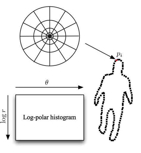 Log Polar Histogram Computation For A Point P I The Log Polar Download Scientific Diagram