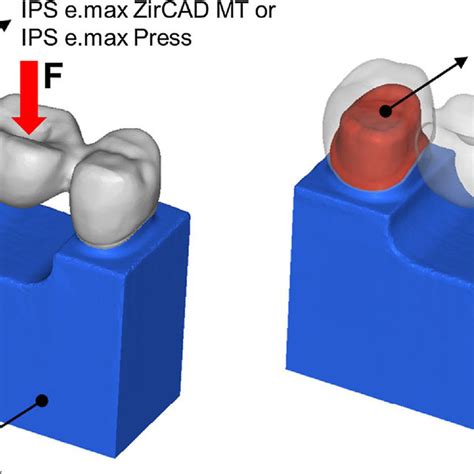 Fpd In Dyna Mess Testing Machine Download Scientific Diagram