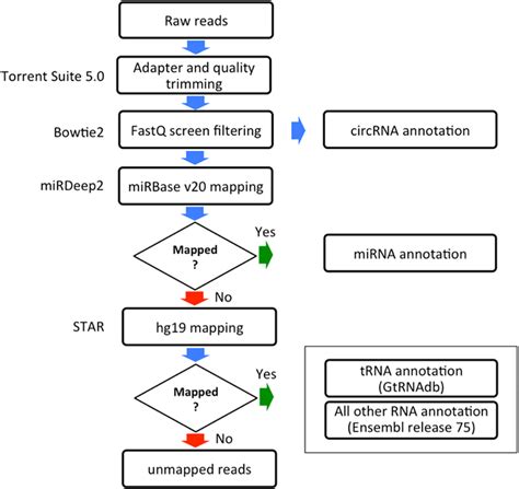 Scheme Of The Bioinformatics Analysis Pipeline Download Scientific Diagram