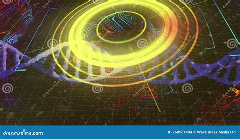 Animation Of Scope Scanning Over Dna Strand Stock Footage Video Of Chromosome People