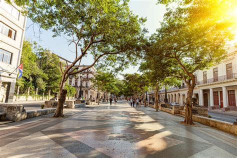 598 671 BEST Paseo IMAGES STOCK PHOTOS VECTORS Adobe Stock