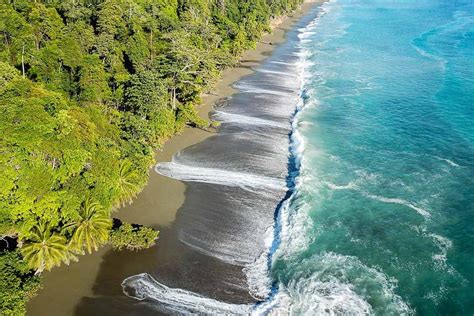 The Osa Peninsula In Costa Rica Wet And Wild Fun For Nature Lovers — Travlinmad Slow Travel Blog