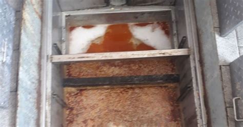 대구 학교급식실 음식찌꺼기 처리 미흡 환경오염 우려 위생 사각 개선해야”