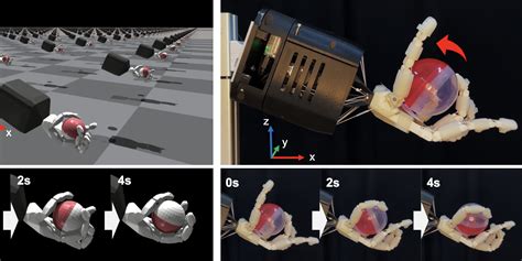 Learning A Dexterous Policy For A Biomimetic Tendon Driven Hand With