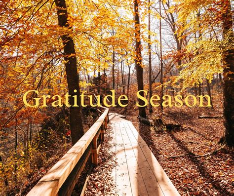 Its Gratitude Season •