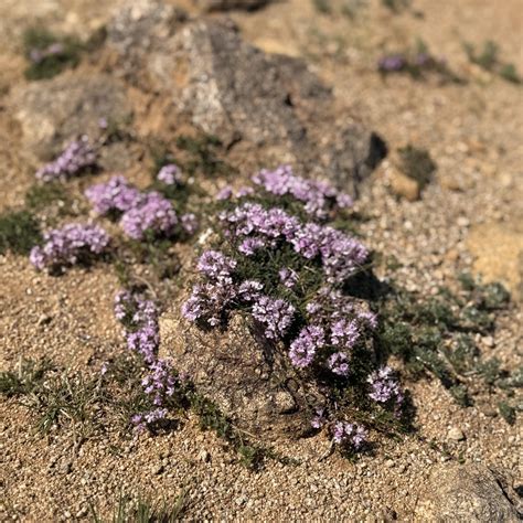 Ebarimt ХУВЬ ХҮНД ОЛГОСОН БАРИМТ ЭЦСИЙН ХЭРЭГЛЭЭНД ГАРСАН БАРИМТ ыг цахимаар буцаах