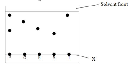 2025 KCSE Prediction Questions And Answers KCSE 2025 Predictions 2025